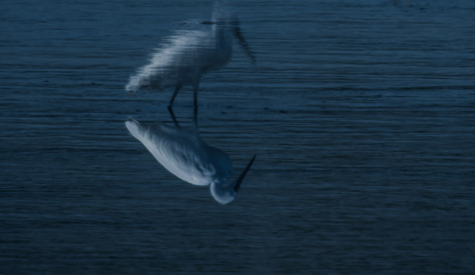 The Post Tragic, with Zak Stein and Marian Partington - [ Perspectiva ]